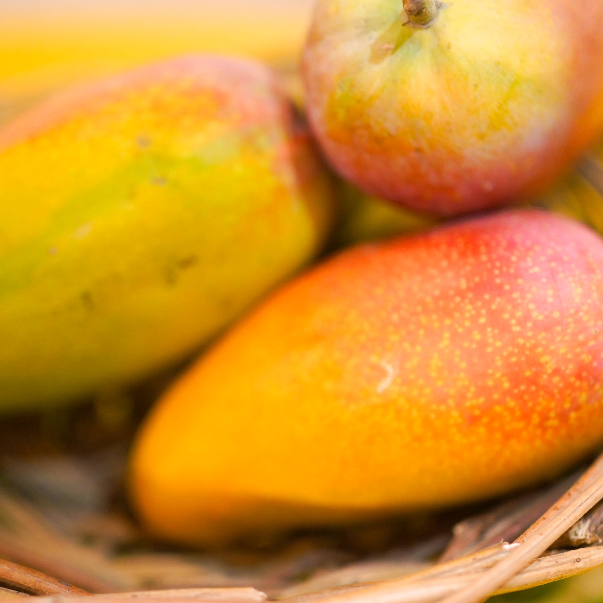 Everything You Need to Know About Chaunsa Mangoes – Vaanya Fruit